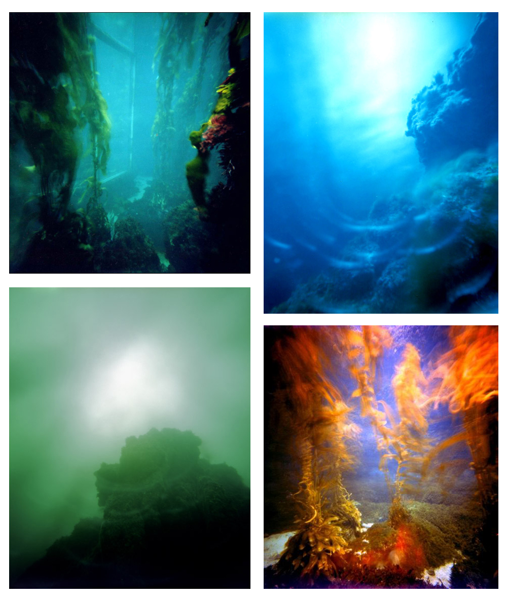 CONCEPTUALIZACIÓN WMB / Rómulo Peña - LaONG | Organización Nelson Garrido