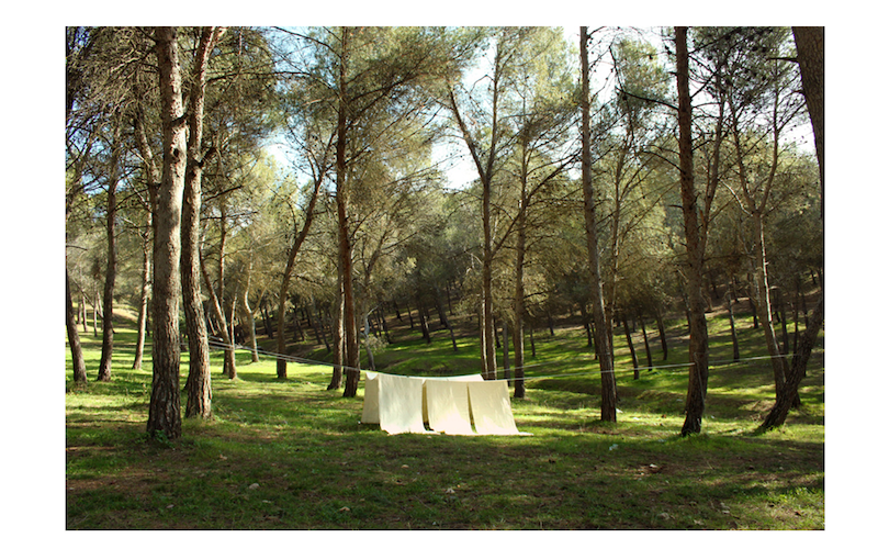 Jessica Moroni - LaONG | Organización Nelson Garrido